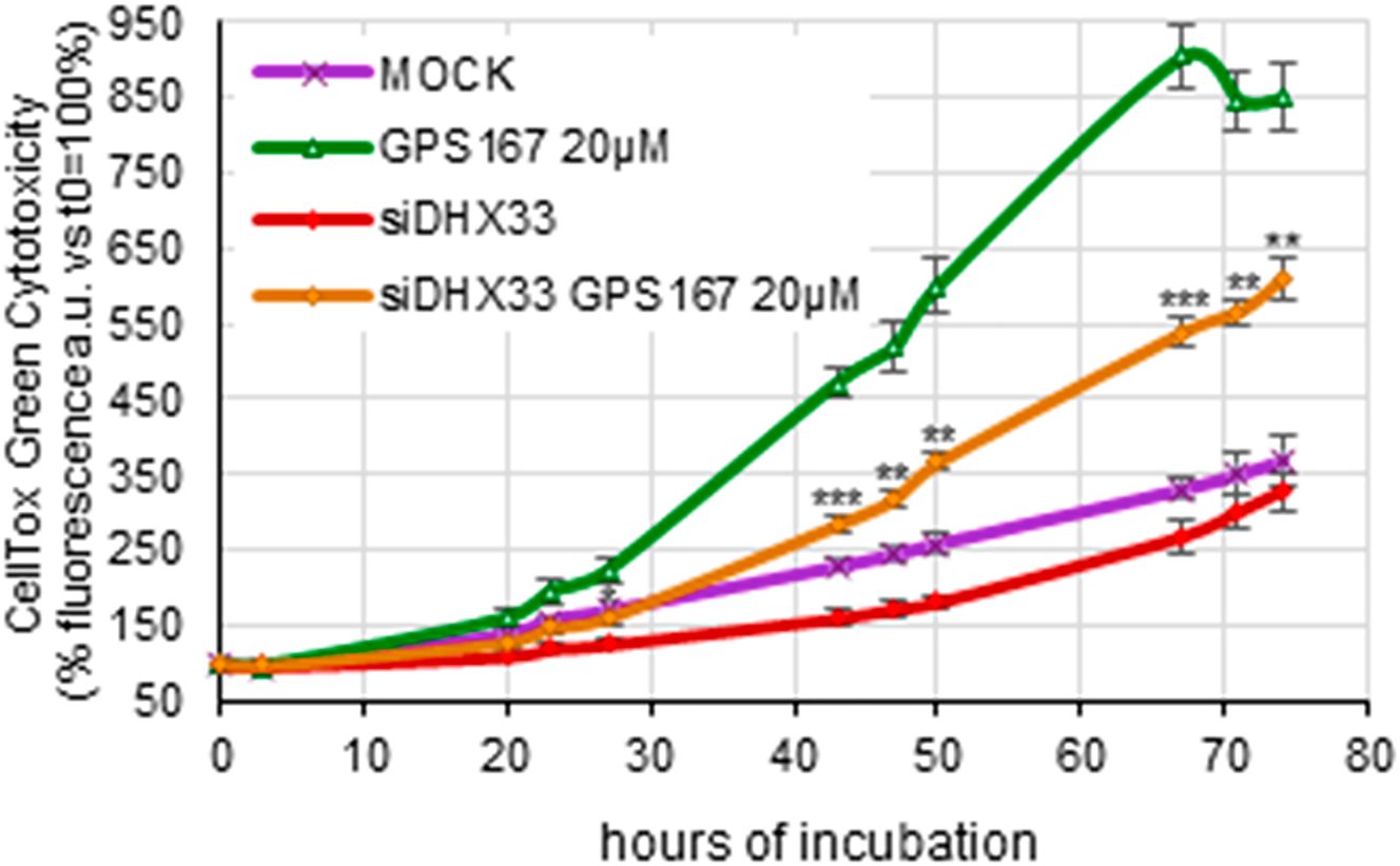 Anticancer Potential of CLK Kinase Inhibitors 1C8 and GPS167 via EMT ...